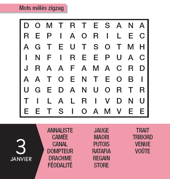 Mini calendrier - 365 mots mêlés - Playbac